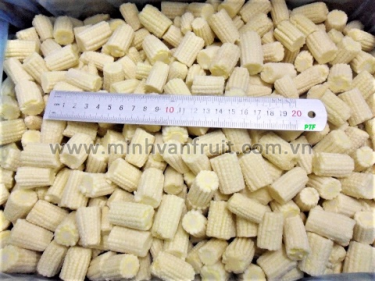 IQF Frozen Baby Corn Cut – Vietnam Canned Fruit & Vegetable, IQF Frozen ...