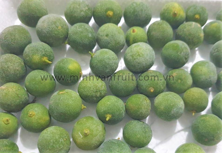 IQF Frozen Calamansi – Vietnam Canned Fruit & Vegetable, IQF Frozen ...