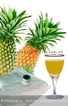 Pineapple Juice Concentrate 60 Brix – Vietnam Canned Fruit & Vegetable ...